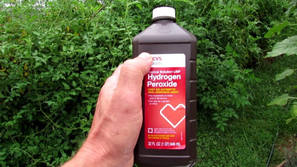 Incredible Uses For Hydrogen Peroxide You Never Knew | Crafthought