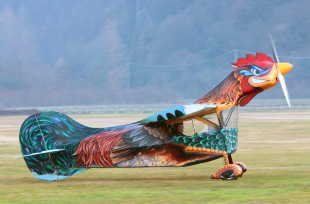 See These Highly Creative Paint Jobs on Aircraft | Crafthought